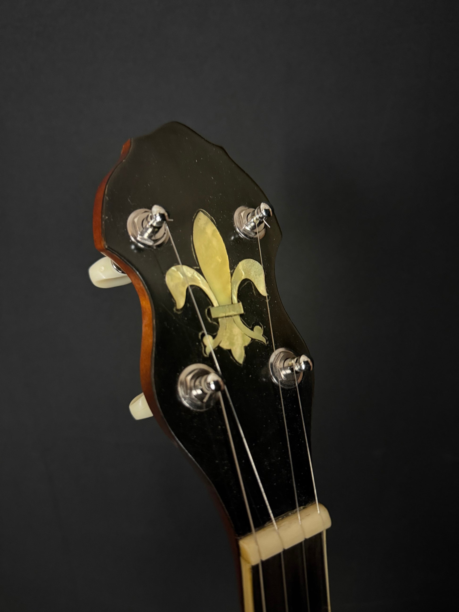 "Fleur De Lis" 11" Open Back Banjo | Acoustic Corner