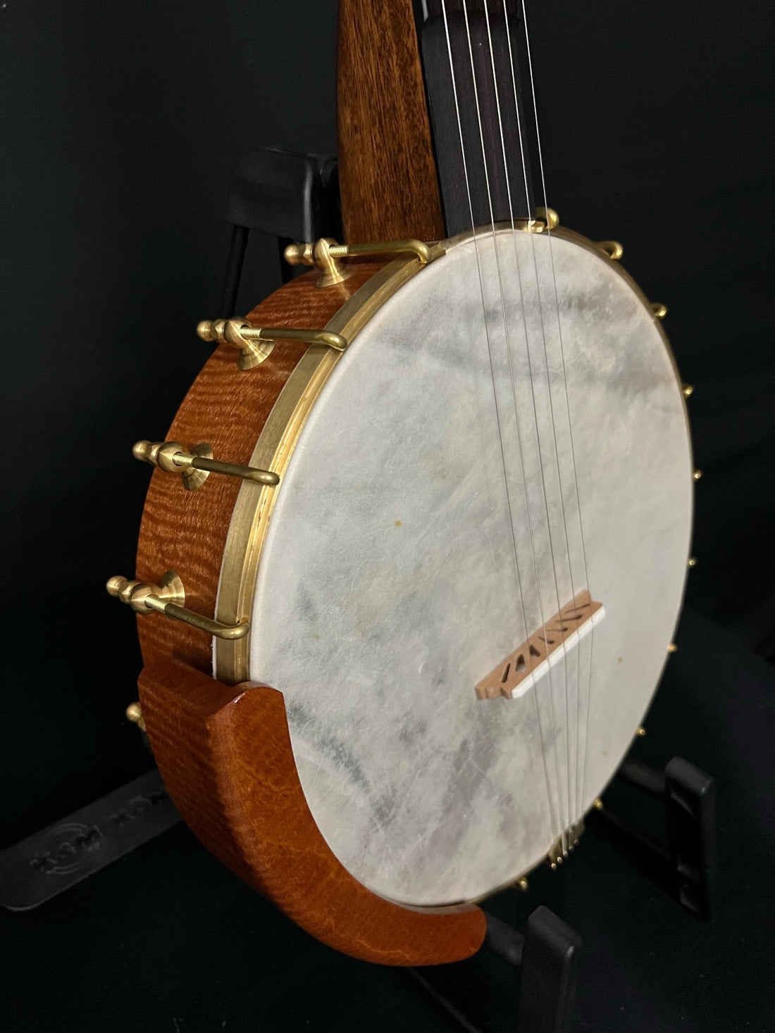 New & Vintage Banjos | Acoustic Corner