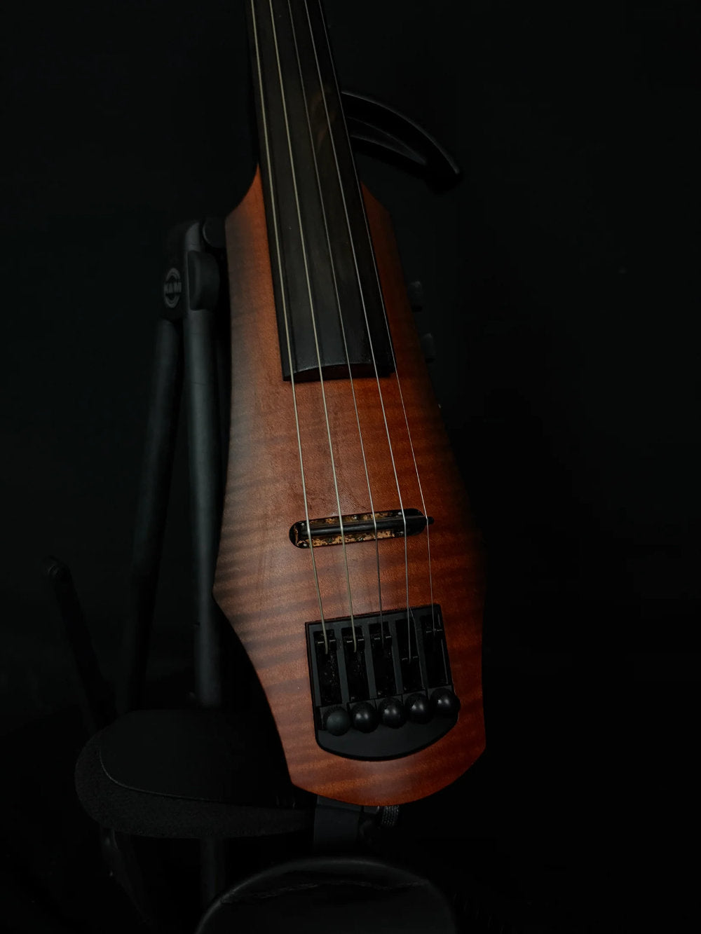 NS Design WAV 5-String Electric Violin | Acoustic Corner